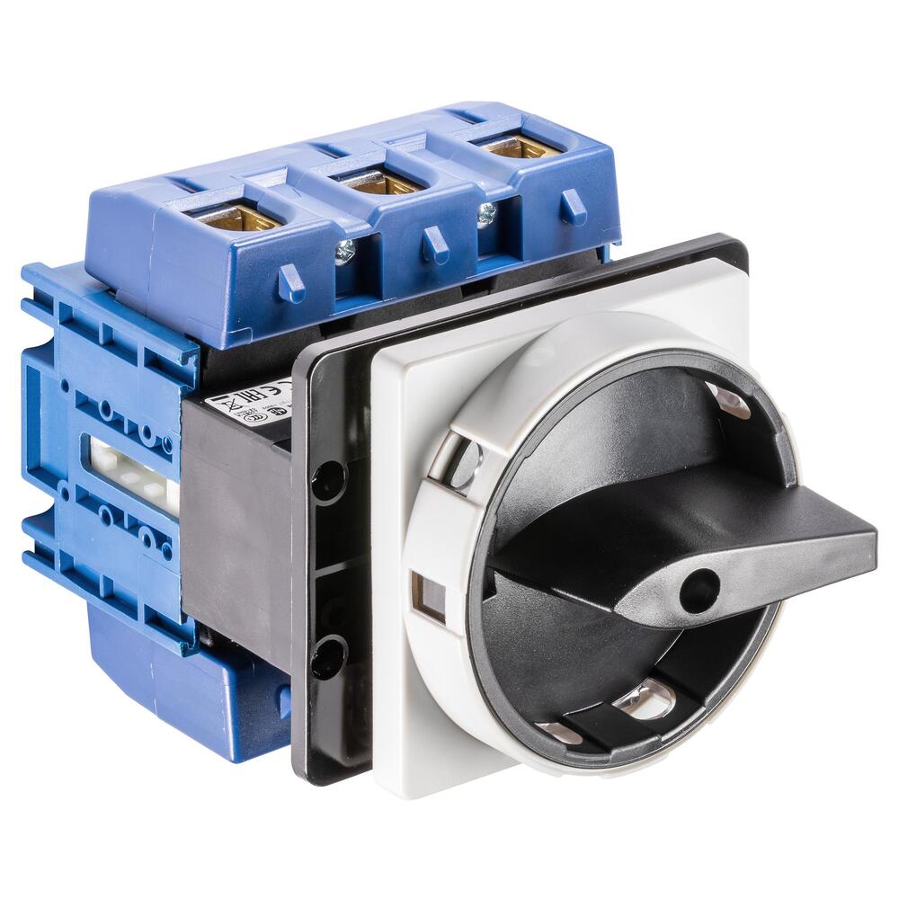 Kraus & Naimer KG125 Interruptor Principal De 3 Polos 125A IP66 - 70012787 | Tameson.es